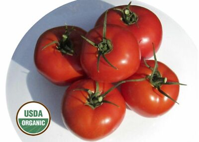 Organic Wisconsin 55 Tomato seeds , 45+ seeds, celebrity heirloom ...