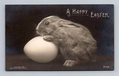 A Happy Easter - Bunny With An Egg - 1906 Real Photo Postcard RPPC | eBay