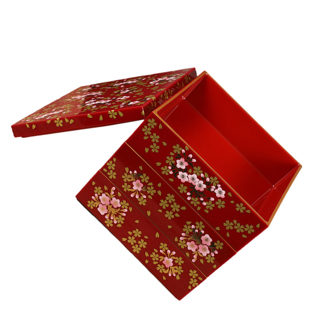 1 Sushi-Box mit Deckel, chinesische Bento-Box, Dim-Sum-Tablett | eBay