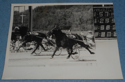 1980 Harness Racing Press Photo Horse Three Times One Abe Stoltzfus ...