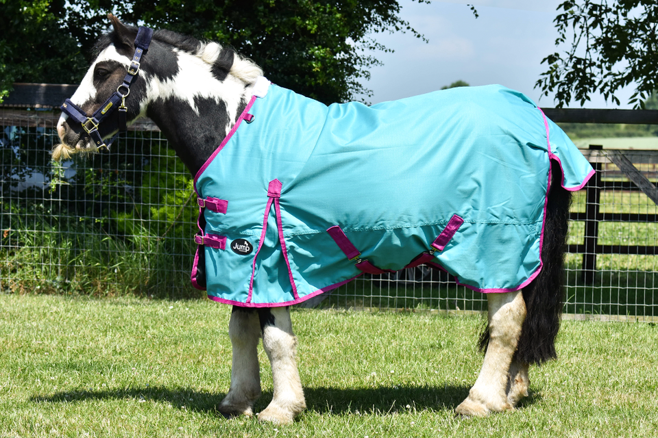 Turnout Rug Mini For Pony Horse Turnout Rug Waterproof Lightweight No ...