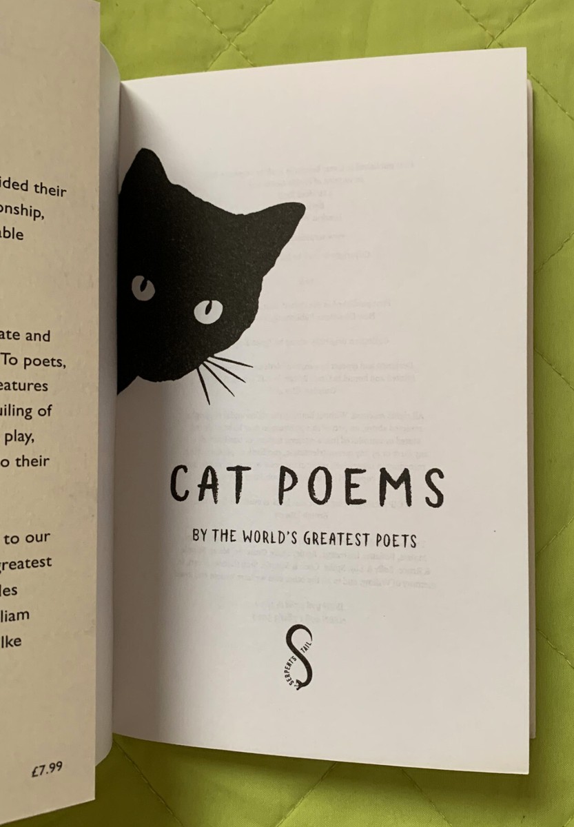 Beautiful Poems About Cats Pet Poems > My Poetic Side