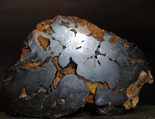Hematite After Stromatolite Fossil w/ Lace Agate Limonite 11.5 oz 5"x 3 ...