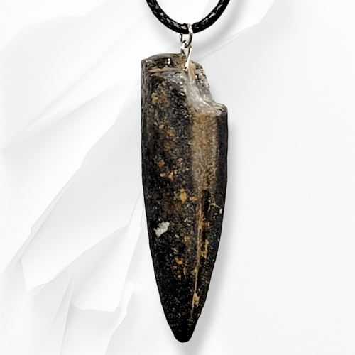 Dragons Tooth Fang Pendant Necklace Cretaceous Belemnite Fossil ...