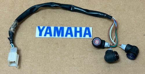 YAMAHA RAPTOR 660 DASH PILOT LIGHTS ELECTRICAL Reverse Neutral Oil 01 ...