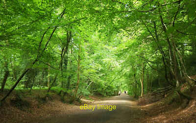 Photo 6x4 Wray Valley Trail near Parke Bovey Tracey Looking the other ...