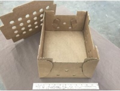 10 Pack of Baby Chick Shipping Boxes - Each box holds up to 25 chicks ...