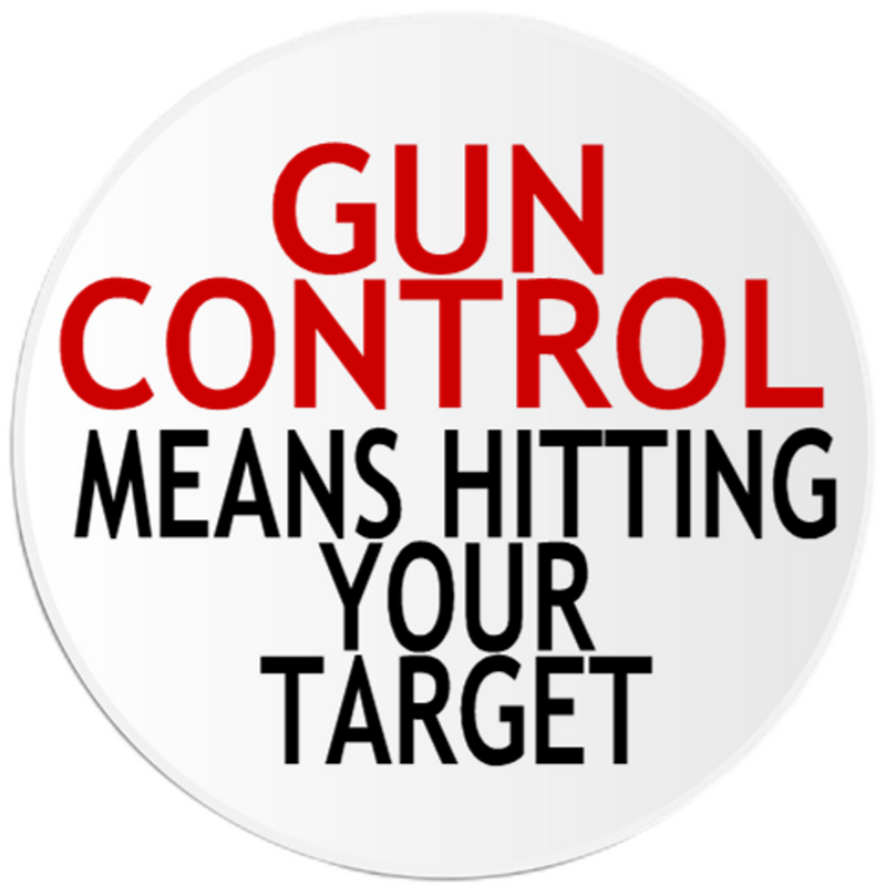 Gun Control Means Hitting Your Target - Circle Sticker Decal 3 Inch | eBay