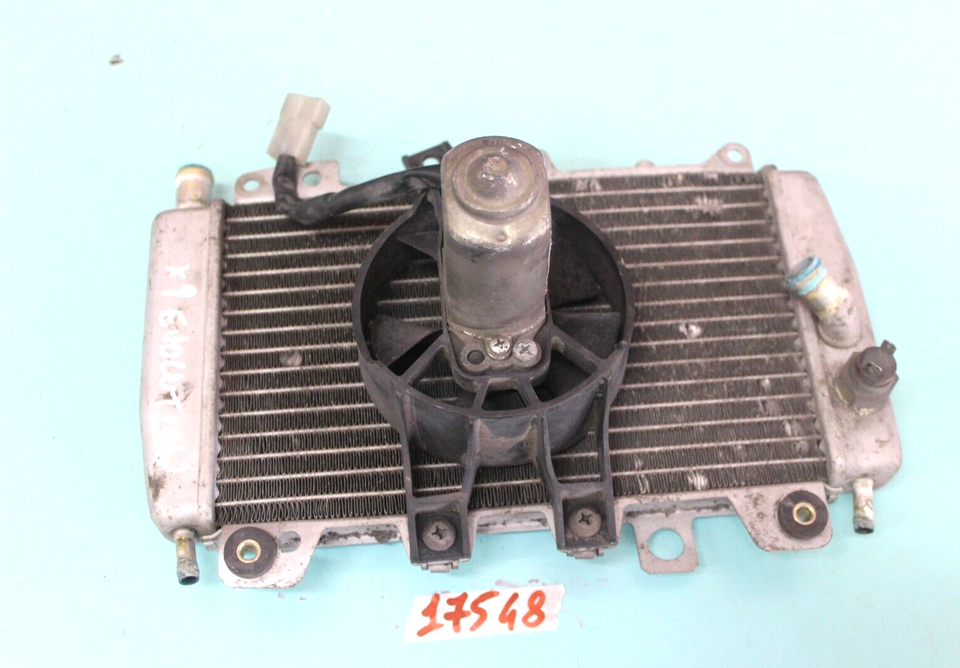 Piaggio X9 Evolution Radiator | eBay