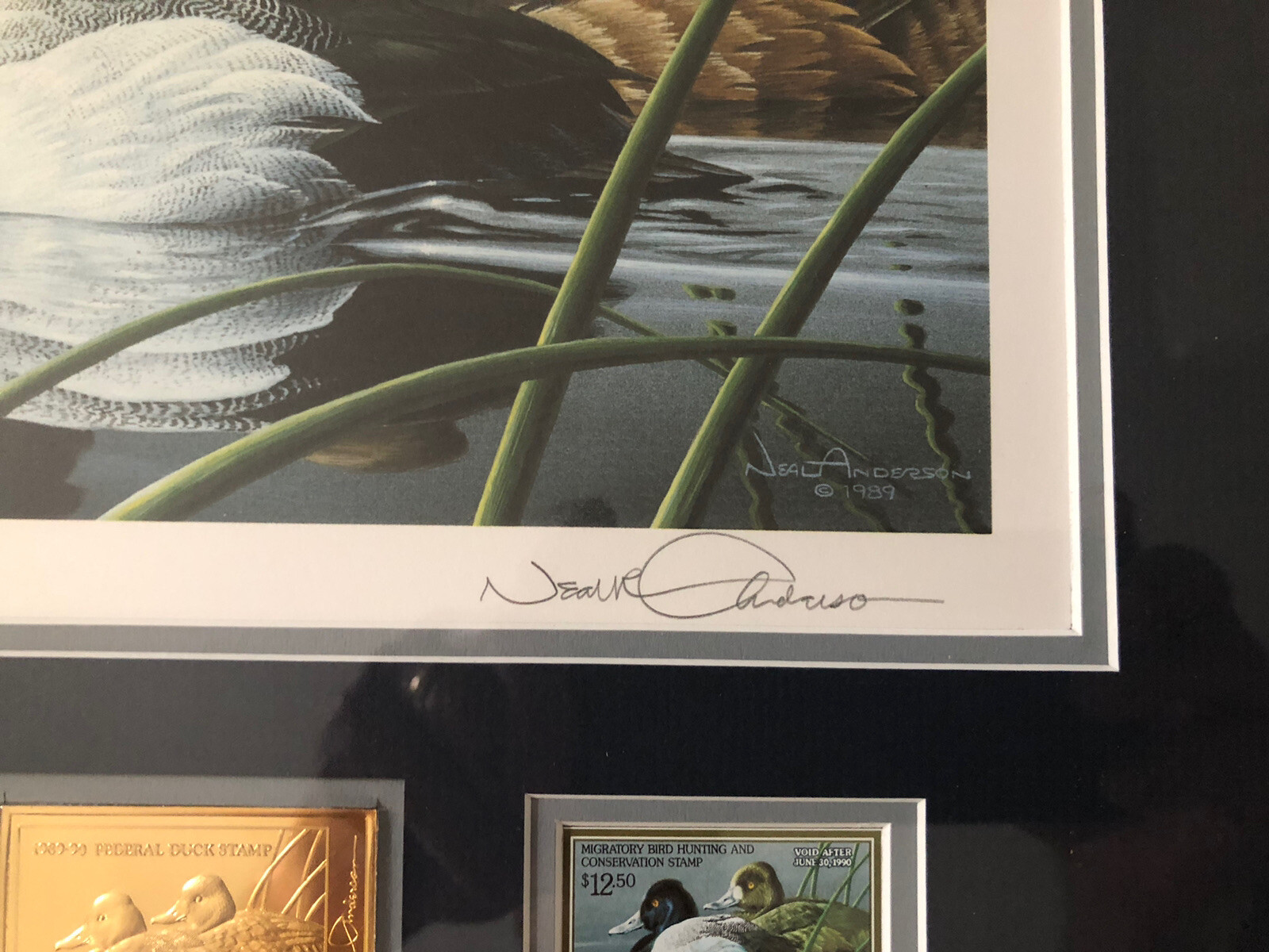 Neal Anderson- 1989 Federal Duck Stamp Print Gold Medallion Edition ...