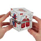 Human Anatomy Study Cube | Anatomy Gift | Learn 9 Parts of The Human ...