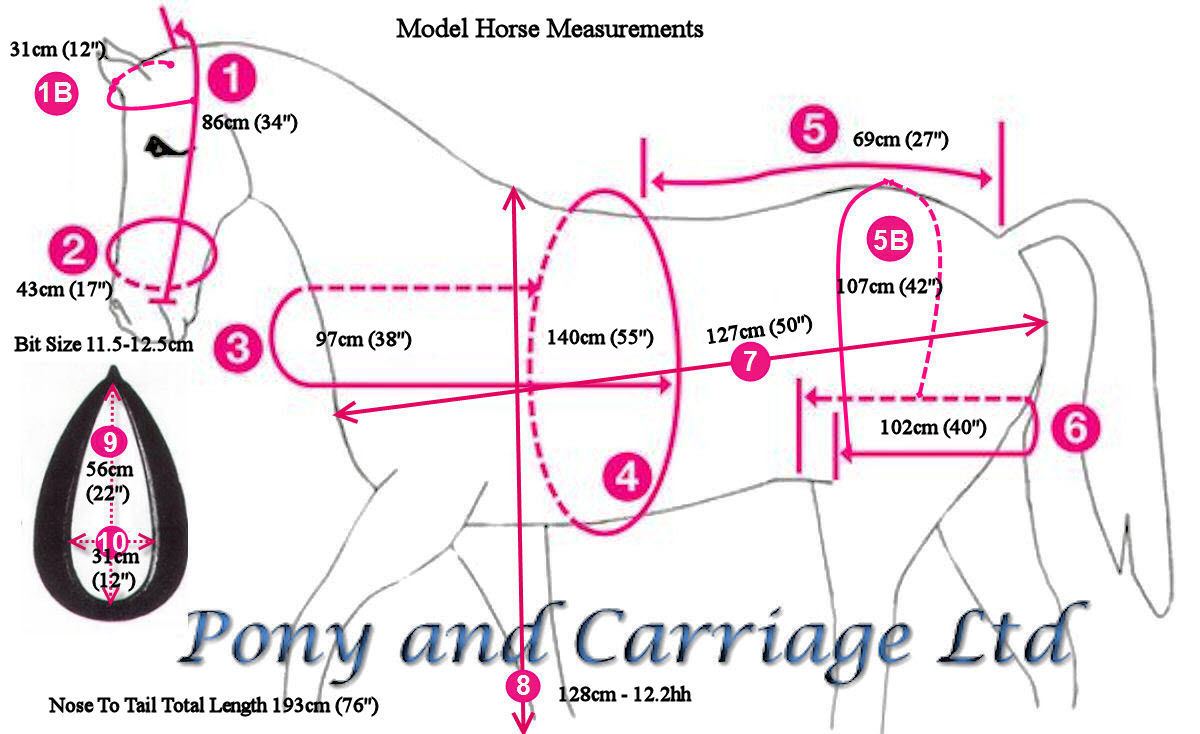 Life Size Model Horse – Pony Mannequin 3 Colour Production 3 -4 weeks ...