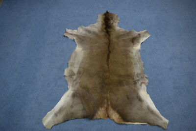 Red Deer Skin Extra Large (684-XL-G01) 10UF | eBay