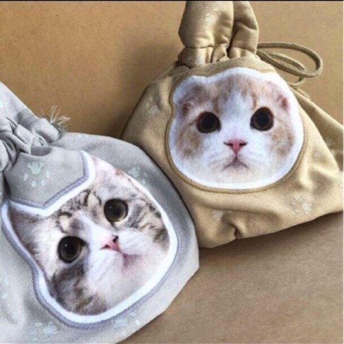 Mochimaru Diary Drawstring Pouch Set Of 2 Bag Cat Goods Character ...
