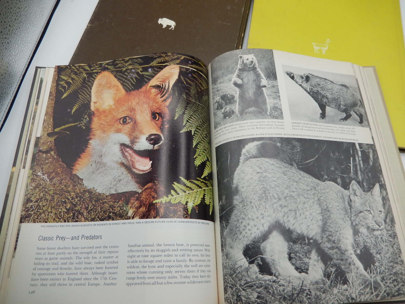 Set of 6 Life Nature Library Books 1970s Australia Eurasia Africa ...