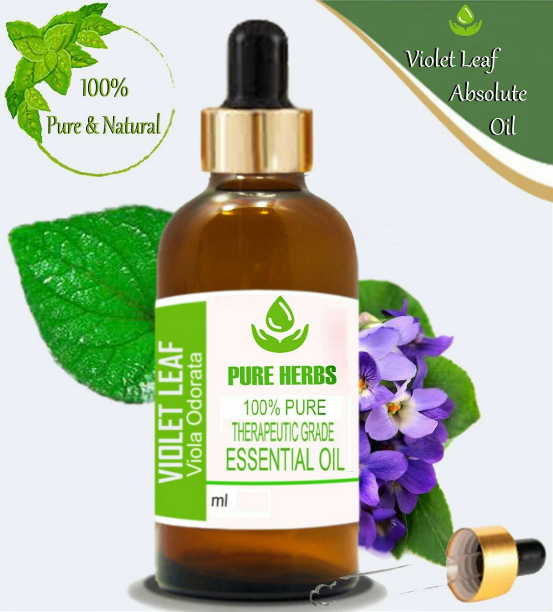 Violet Flower Absolute Oil | Best Flower Site