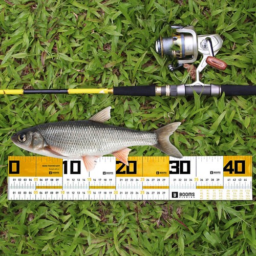 65cm Fish Ruler Measuring Adhesive 2pcs Fishing Tool Portable Tackle ...