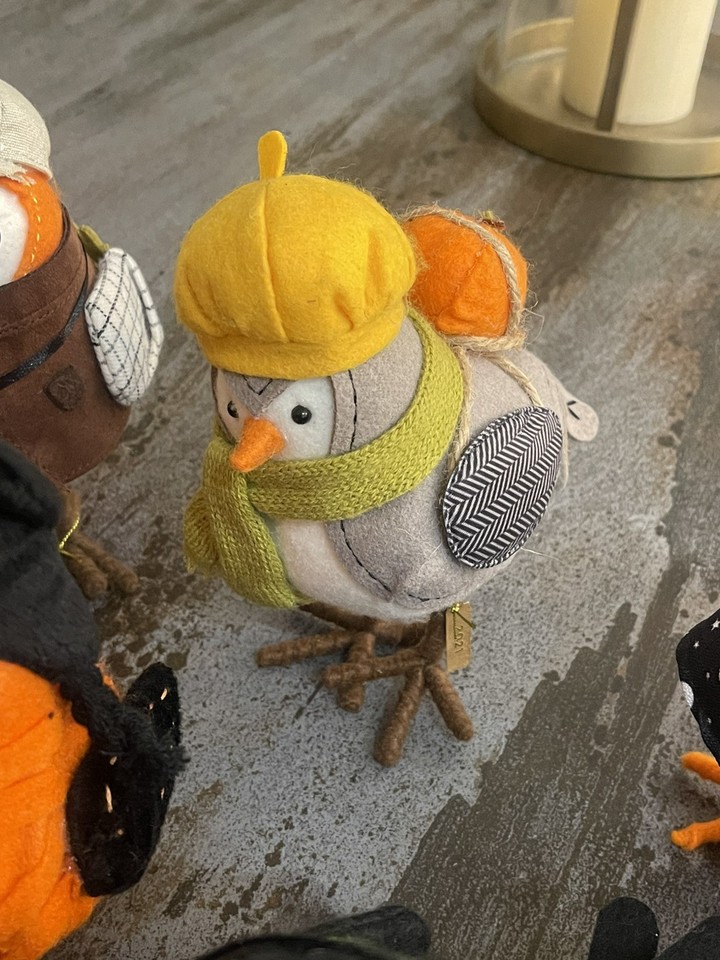 TARGET BIRDS Featherly Friends Halloween & Fall Lot of 11 GRADY CLAWSON ...