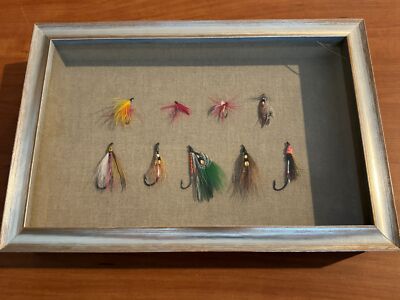 Flies - Fly Display