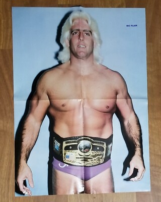 RIC FLAIR NATURE BOY Mike Rotundo 1985 2 SIDED 4 PAGE POSTER 32"x 44 ...