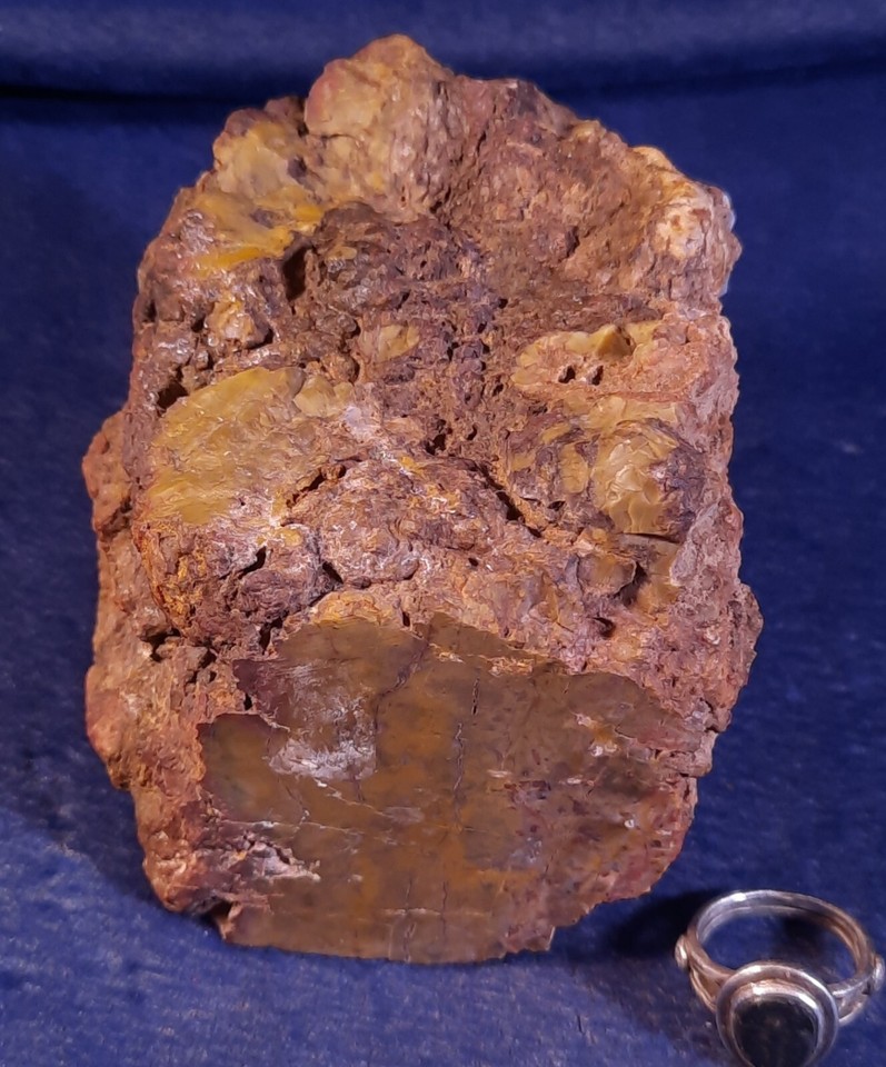 DINOSAUR COPROLITE from WYOMING - POLISHED - GEM GRADE - STANDING ...