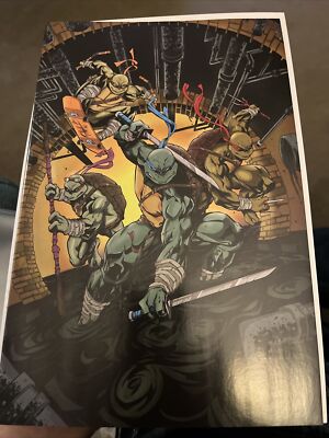 NYCC Exclusive Teenage Mutant Ninja Turtles #1 Virgin Andrew Gavarette ...