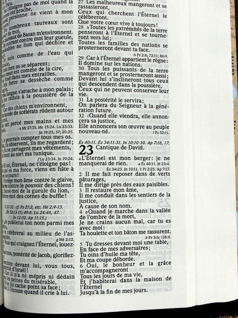 French Bible Louis Segond 1910 Dark Blue Vinyl La Sainte Bible for sale ...
