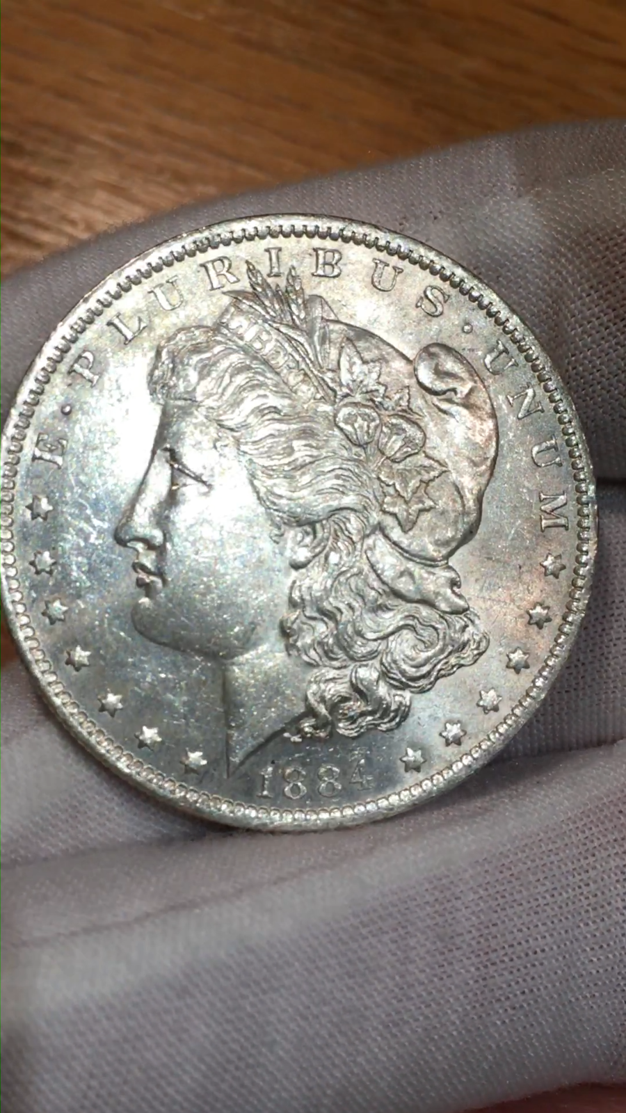 1884-O Morgan Dollar - High Quality Scans #o786 | eBay