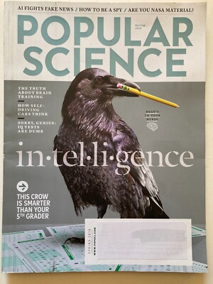 INTELLIGENCE - A CROW SMARTER THAN YOUR 5TH GRADER 2018 POPULAR SCIENCE ...