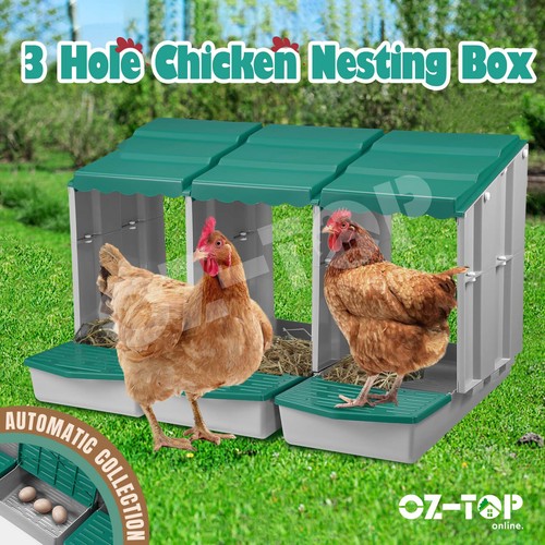 Chicken Nesting Box Chook Hen Roll Away Modular Laying Boxes 3 Hole ...