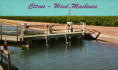 Chrome Postcard Yuma Arizona AZ Citrus Wind Machines Canal Agriculture ...