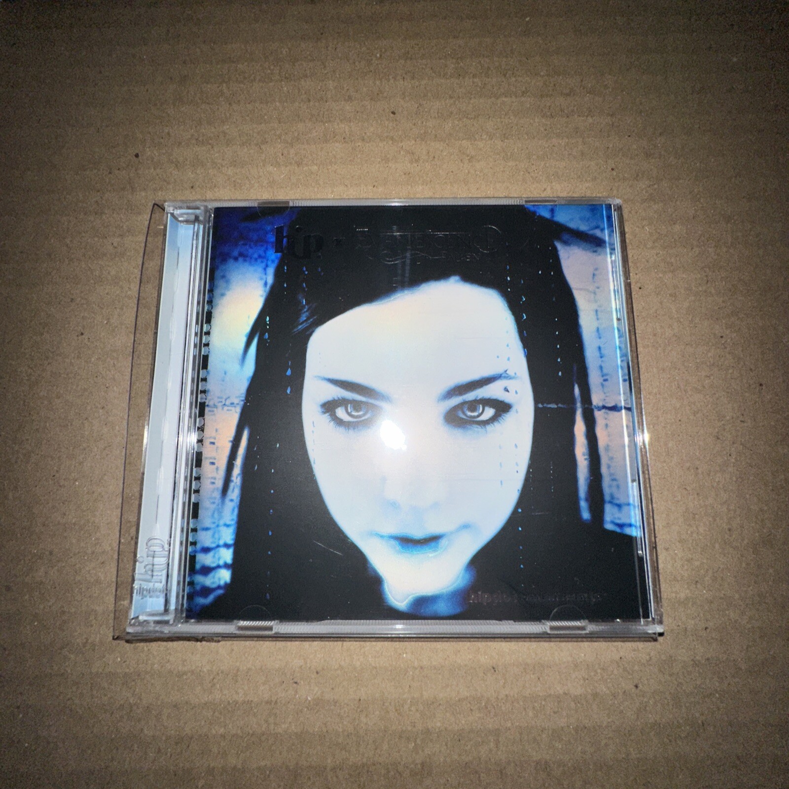 Evanescence Makeup | Saubhaya Makeup