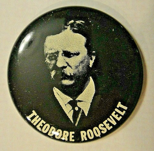 Theodore Roosevelt Presidential Campaign Button (Reproduction Pin 1990s ...