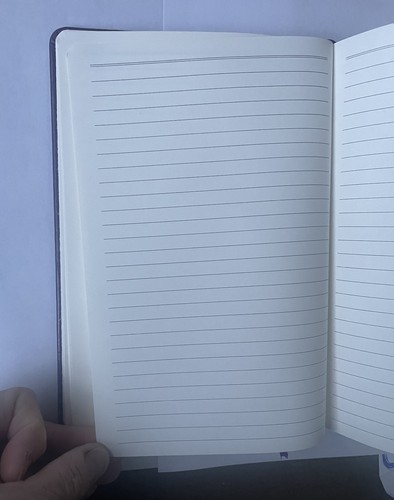 Olivia Rodrigo EXCLUSIVE SOUR Notebook Purple Merch | eBay