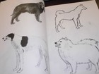 Japanese Sumi-e Drawing Sample Book Kikan Suibokuga Bessatsu 4 Animals ...