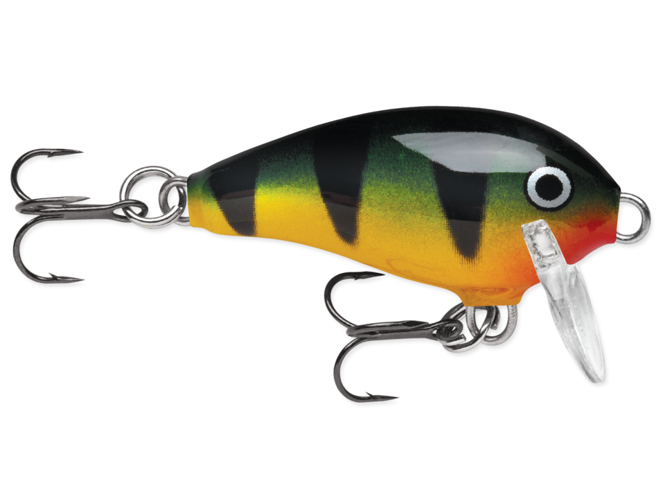 RAPALA CRANKBAIT MINI FAT RAP 3cm/4g SS - Perch (MFR03 P) | eBay