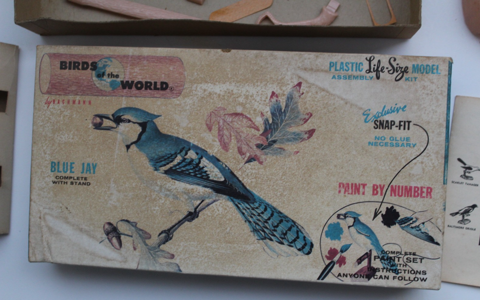 Vintage Bachmann Birds of the World Blue Jay Unbuilt Model Kit in Box ...