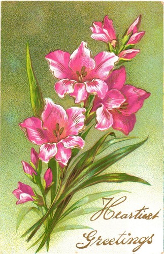 Heartiest Greetings Beautiful Pink Flowers Postcard | eBay