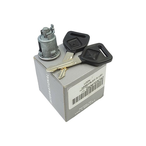 OEM INTERNATIONAL LOCK CAB DOOR W / KEYS 2506723C92 | eBay