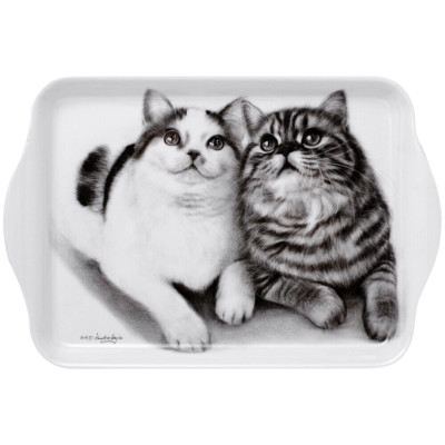Ashdene Melamine Scatter Tray Food Cake Sandwich Snack Plate Cat ...