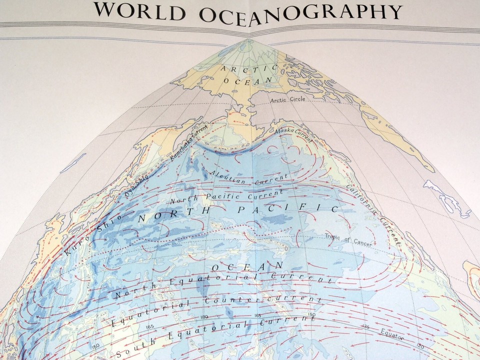 1958 VINTAGE MAP OF WORLD OCEANS OCEANOGRAPHY / BATHYMETRIC CHART / MARINE FAUNA | eBay
