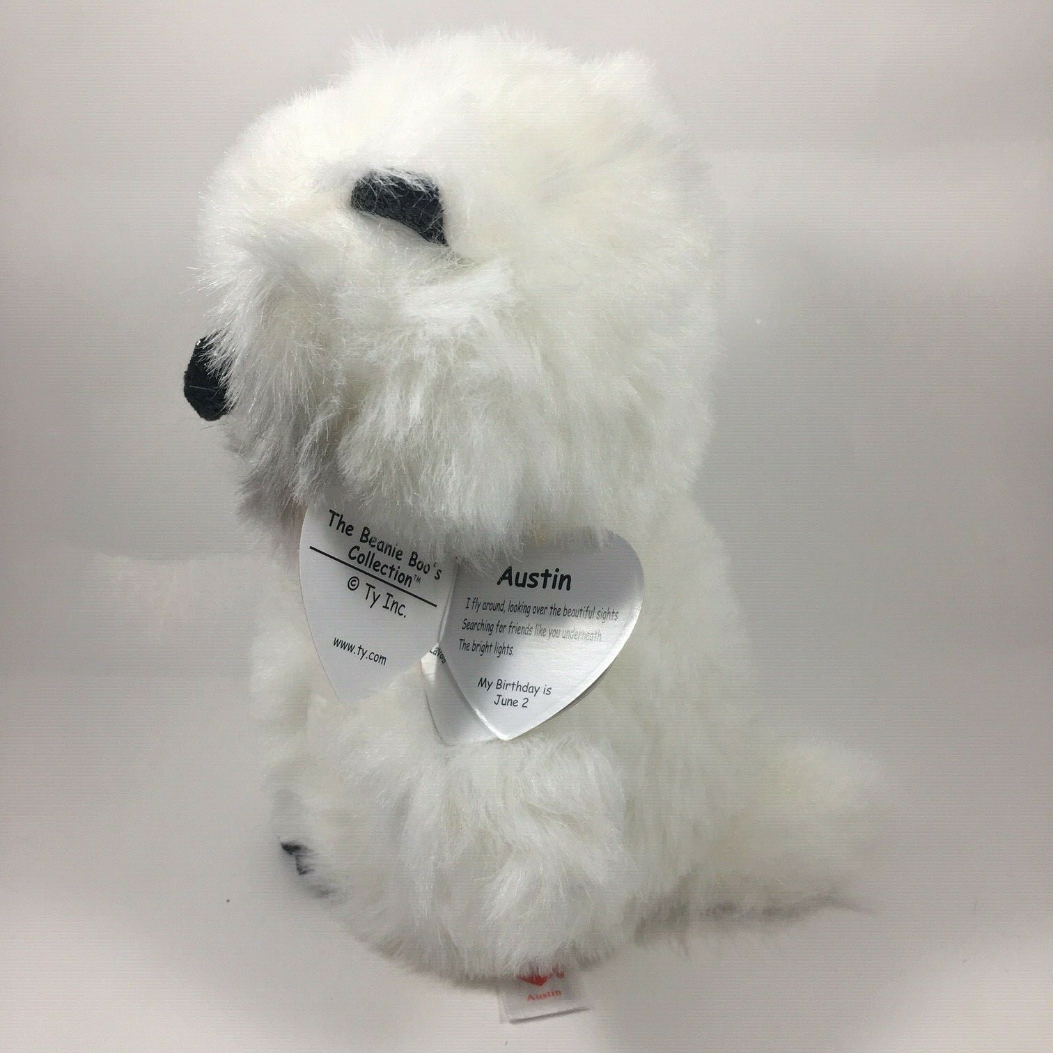 2020 TY Beanie Boos AUSTIN the White Owl Stuffed Animal Toy Plush (6 ...