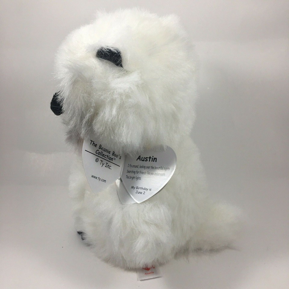 2020 TY Beanie Boos AUSTIN the White Owl Stuffed Animal Toy Plush (6 ...