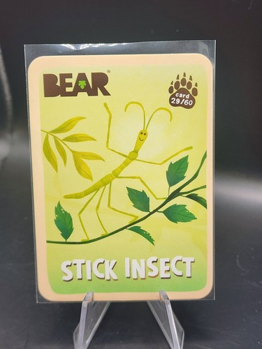 2024 BEAR Snacks Cards - Pick what you Want! | eBay