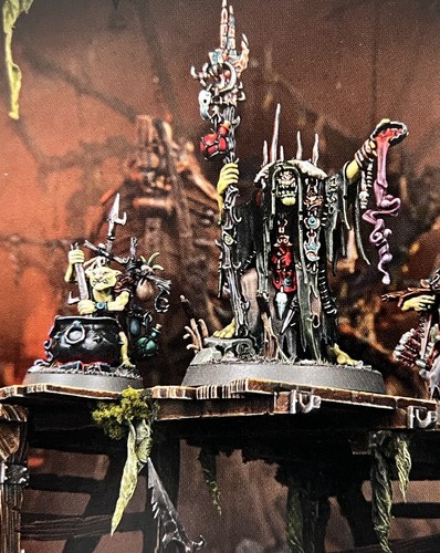 Warhammer Age of Sigmar Kruleboyz Swampcalla Shaman with Pot-grot AoS ...