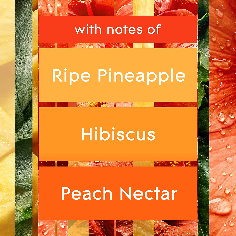 Glade Automatic Spray Refill, Air Freshener for Home and Bathroom ...