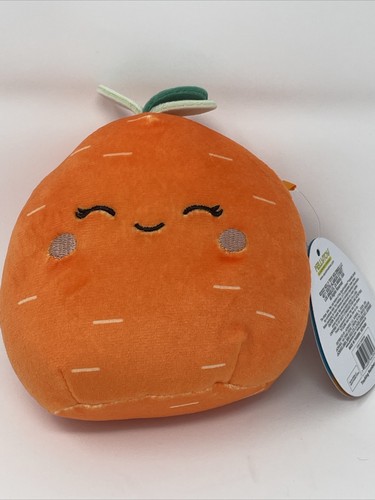 Squishmallow Caroleena Orange Carrot Vegetable Squad Plush 5" | eBay
