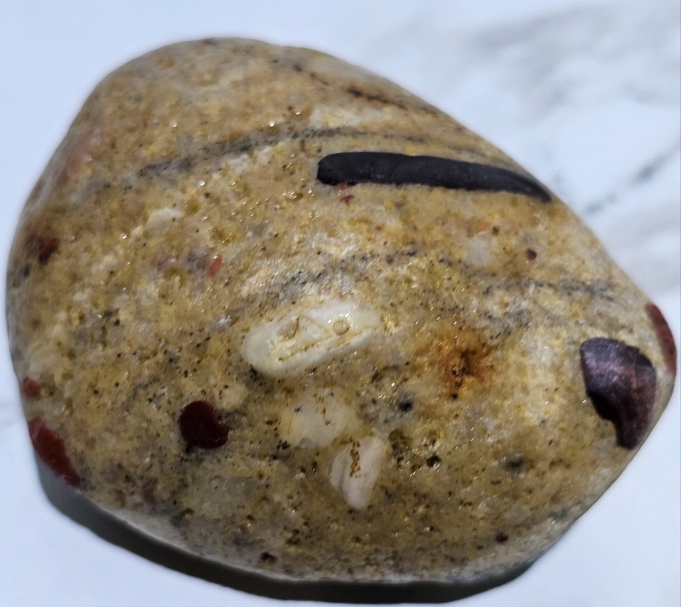 Michigan Pudding Stone Rock Conglomerate 7.2 Oz Jasper Fast Shipping | eBay