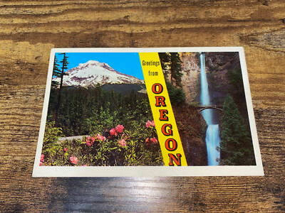 Vintage Greetings From Oregon Postcard | eBay