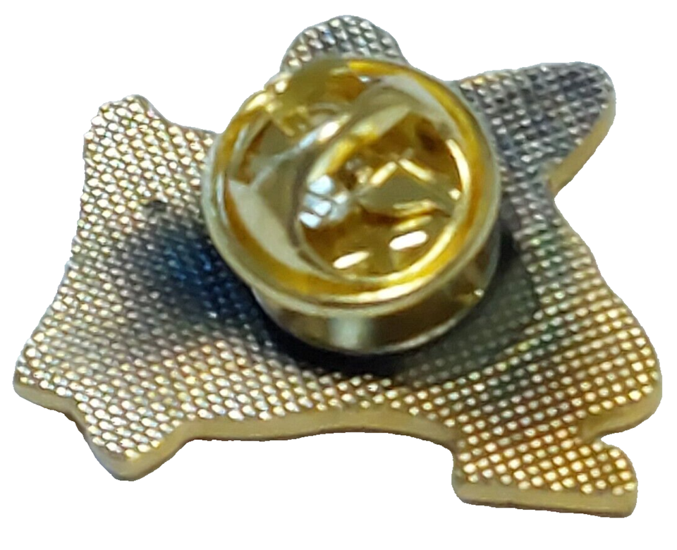 McDonald's Restaurant Ronald McDonald Flag Australia 1985 Lapel Pin | eBay